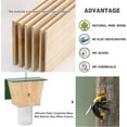 Carpenter Bee Trap for Outside - Green Pentroof Shed Style Nature ...
