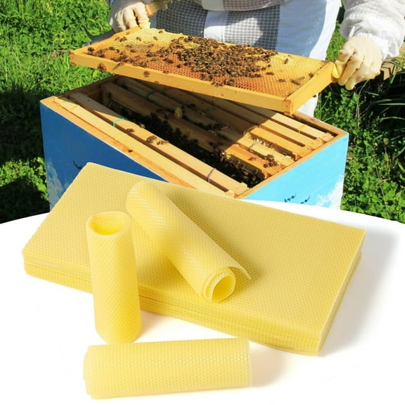 30pcs Honey Sheets Beehive Wax Foundation Beekeeping Equipment Bee Comb ...