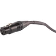 Livewire Advantage XLR Microphone Cable 50 ft. Black - Walmart.com