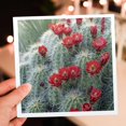 3drose, Deep Bright Orange Hibiscus Flower, Honolulu. State Flower of ...