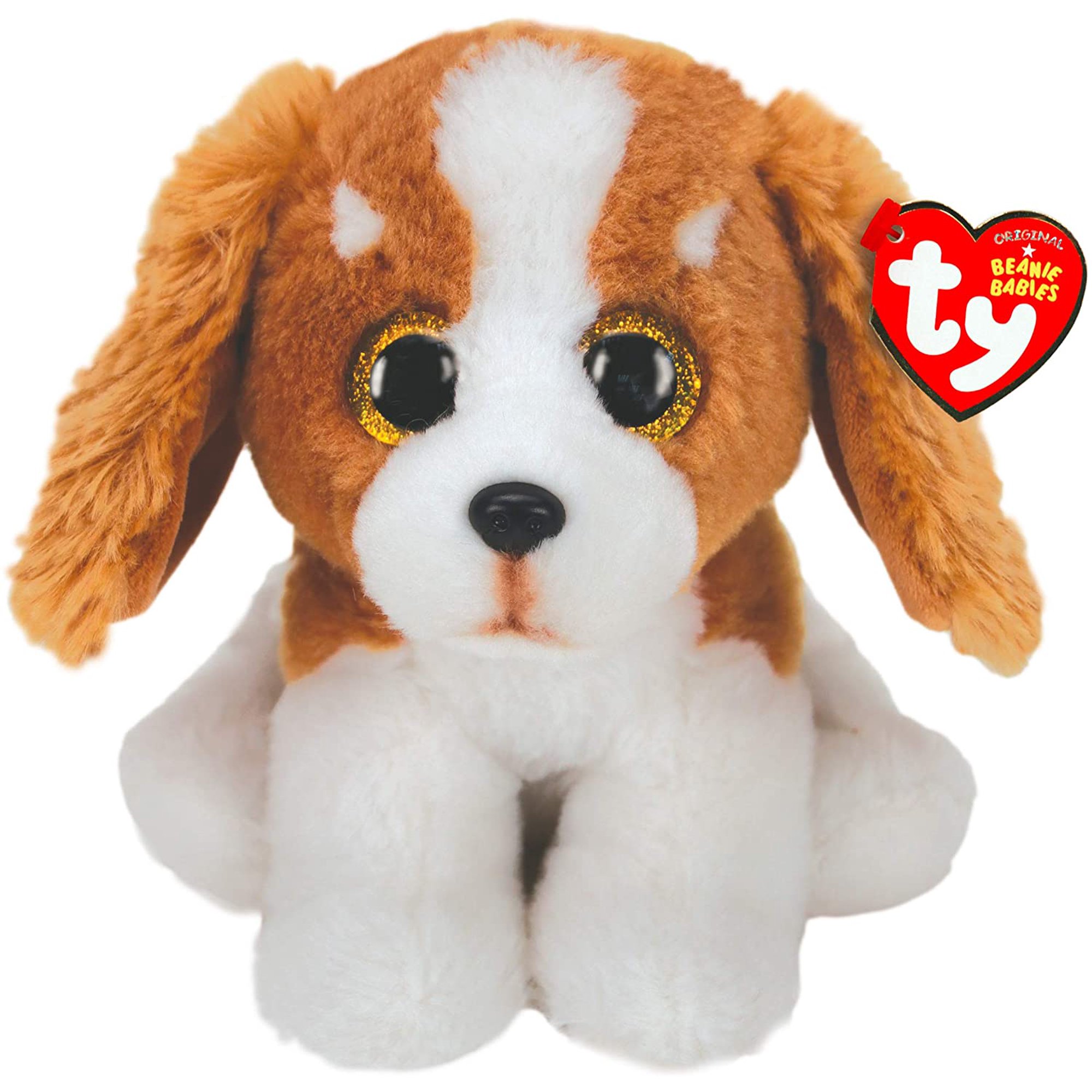 Baby Boo Dog