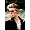 David Bowie Aladdin Sane Poster 24 x 36 Sold by Art.Com - Walmart.com