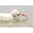 DOOG Supersticks Dog Toy Captain Fantastic Beige - Walmart.com