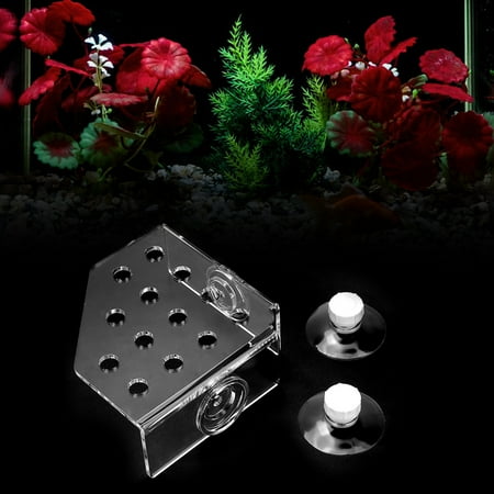 Coral Rack, With 2pcs Suction Cup Fish Frag Rack, Acrylic Plant Holder ...