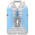 Splash, Water, 16.9 Fl Oz, Mandarin Orange Flavored Water - Walmart.com