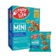 ENJOY LIFE Gluten Free Mini Crunchy Chocolate Chip Cookies - Walmart.ca