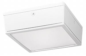 RAB Lighting 40W VANLED Neutral LED Flat Lens White Canopy Light ...