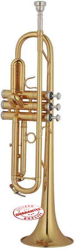 Hawk WD-T311 Bb Trumpet with Case and Mouthpiece, Brass Lacquer ...