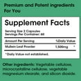 (2 PACK) Mullein Leaf Gummies 2000mg, Herbal Dietary Supplement, Mullen ...
