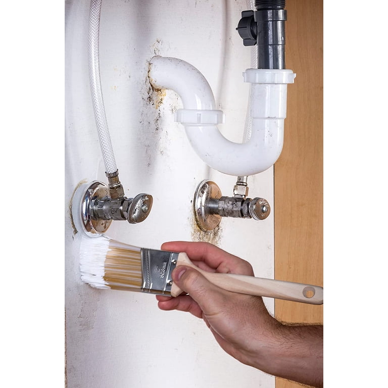 Zinsser Water-based Primer Zinsser Mold Killing Primer Water-Based ...