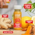 Vive Organic Immunity Boost Shot, Original Ginger and Turmeric Wellness ...
