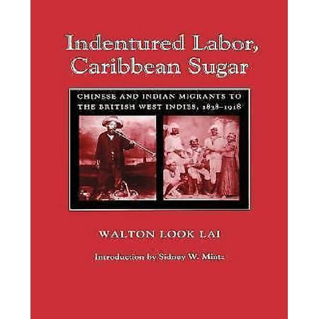 Indentured Labor, Caribbean Sugar : Chinese and Indian Migrants to the ...