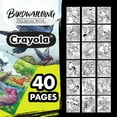 Crayola Bird Coloring Book, 40 Premium Birdwatching Adult Coloring ...