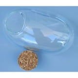 Mouse Glass Terrarium W/ Cork Lid - Walmart.com