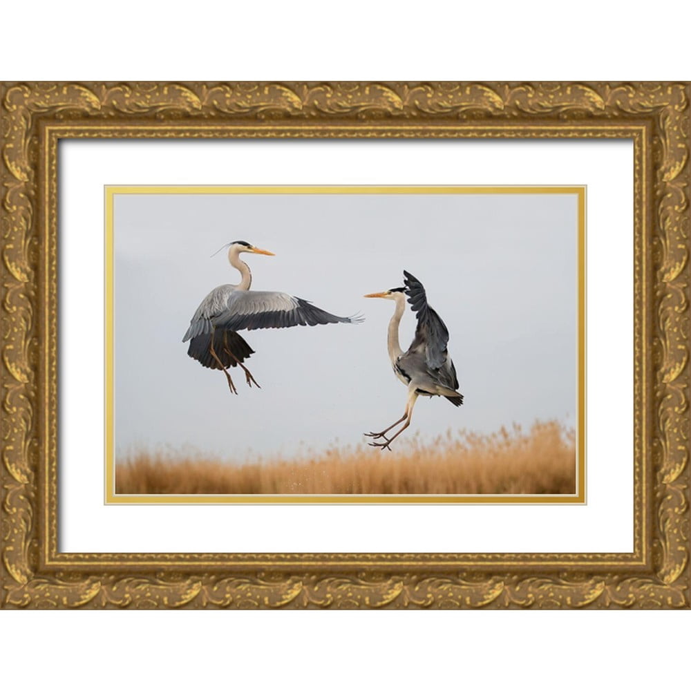 Chang, Phillip 18x13 Gold Ornate Wood Framed with Double Matting Museum ...