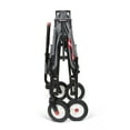 Radio Flyer, Beast EZ Fold Maximum Capacity Heavy-Duty Kid & Cargo ...