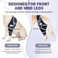 Dog Knee Brace for Back Leg,Adjustable Dog Knee Brace with Stabilizers ...