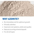 AZOMITE 44 - Walmart.com