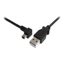 Startech 1 ft. Mini USB 2.0 Cable, A to Mini B - Walmart.com