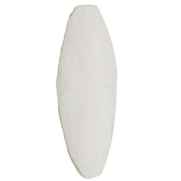 CNKOO 10pcs Cuttlebone for Birds | Parrot Chewing Cuttle Bone for Sharp ...