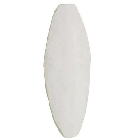 CNKOO 10pcs Cuttlebone for Birds | Parrot Chewing Cuttle Bone for Sharp ...