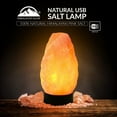 Himalayan Glow Hand Carved Natural Salt Lamp with Multicolor Changing ...