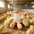 huayou Hanging Poultry Feed Dispenser, Weather-Resistant Feeder for ...