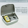 Dry & Store, Electric Hearing Aid Dehumidifier UV-C Lamp, Global II ...
