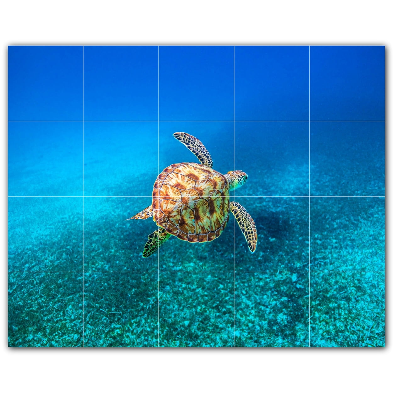 Picture-Tiles.com: Turtle Ceramic Tile Wall Mural WAL501081-54M. 30"W x ...