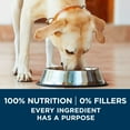 Purina ONE Plus Dry Large Breed Dog Food for Adult Dogs, Real Protein ...