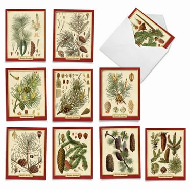 Lang, Fresh Bunch Boxed Note Cards - Walmart.com