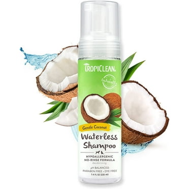 Fresh 'n Clean 2-in-1 Shampoo & Conditioner, Classic Fresh Scent, 18 oz ...