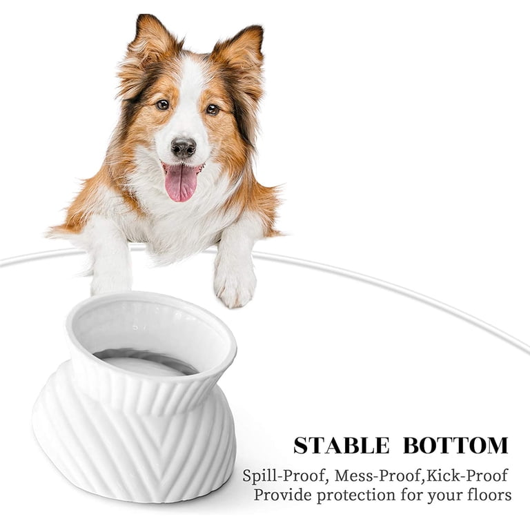 Empty Dog Food Bowl