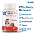 DrKids Children’s Pain and Fever Gummies, Acetaminophen, Travel ...