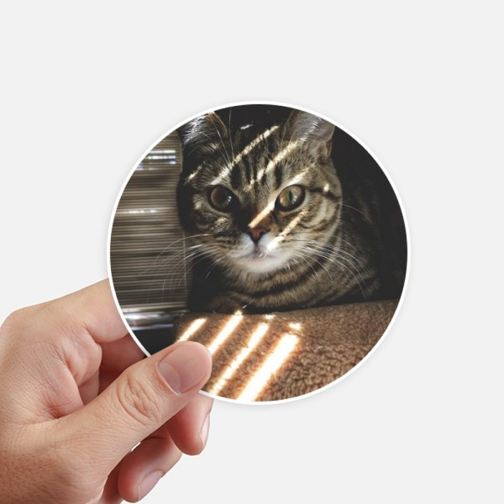 animal cat ray photograph sticker round wall suitcase laptop label ...