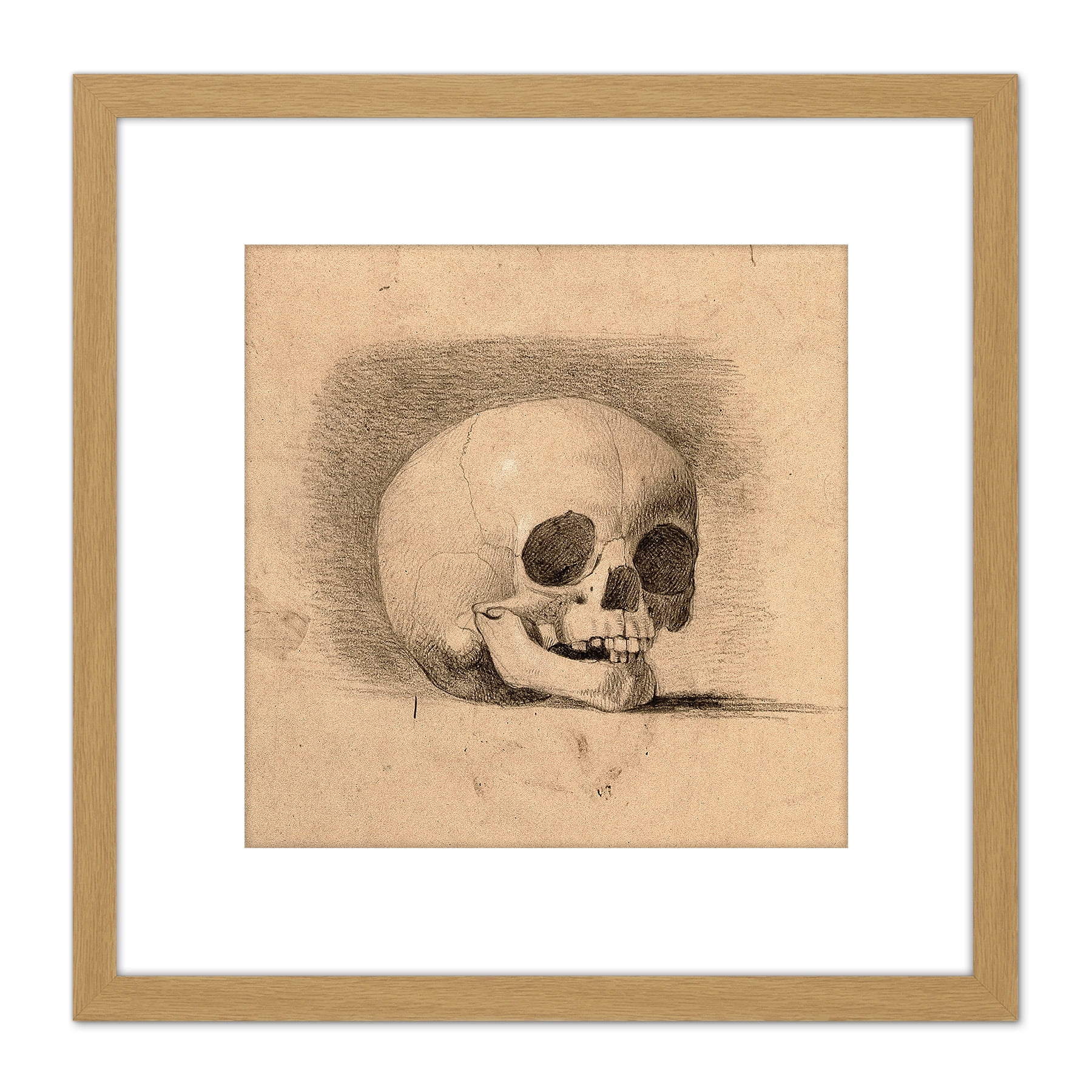 Landseer Human Skull Anatomy Front View Drawing 8X8 Inch Square Wooden ...