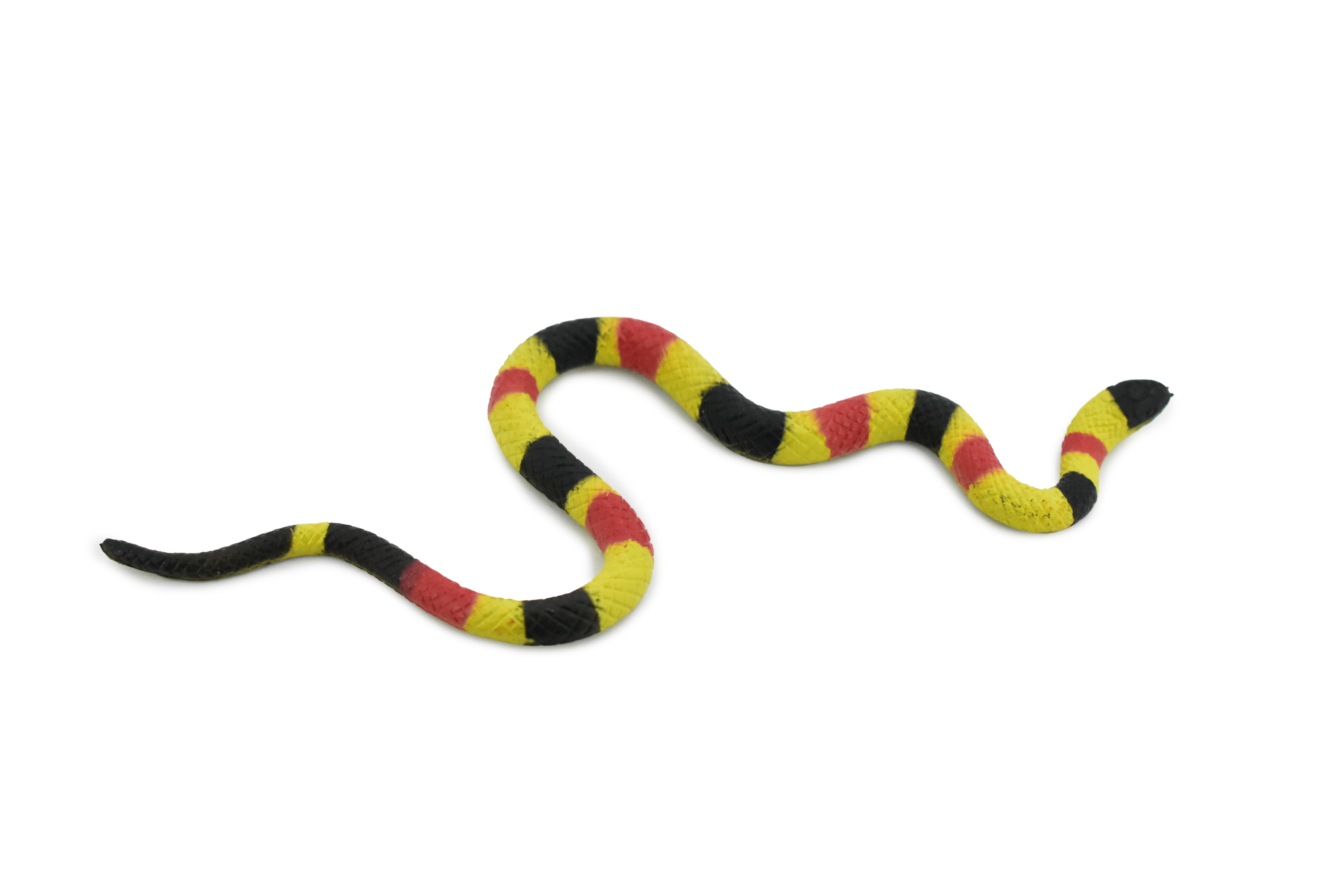 Snake, Coral Snake, Rubber Reptile, Educational, Realistic Hand Painted ...