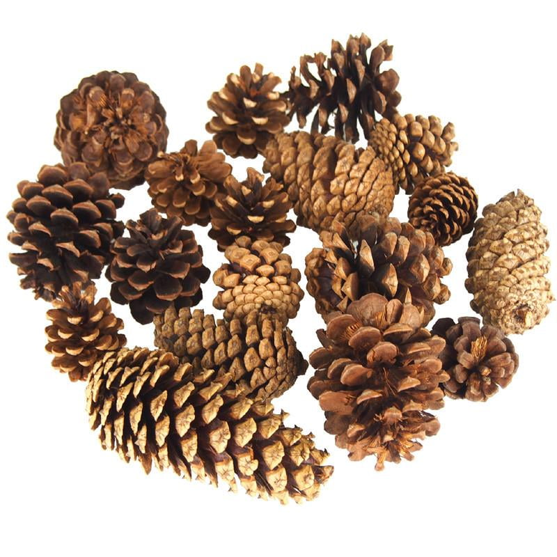 Natural Forms Pine Cone with Cinnamon Scent, Brown, 12-Ounce - Walmart.com
