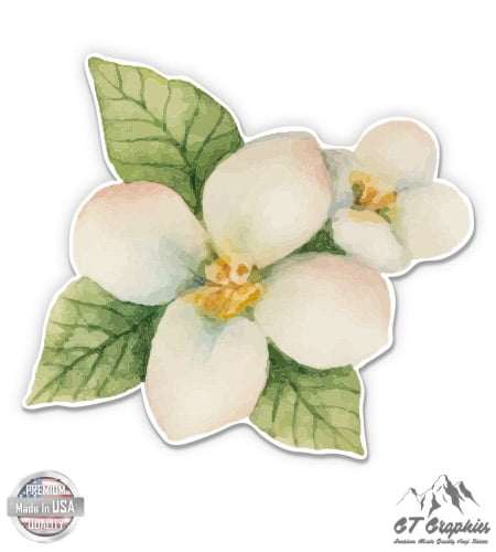 Jasmine Cute - 8" Vinyl Sticker - For Car Laptop I-Pad - Waterproof ...