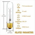 25 Watt T10 Clear Tubular Incandescent Light Bulb, Bulb,Vintage Style ...