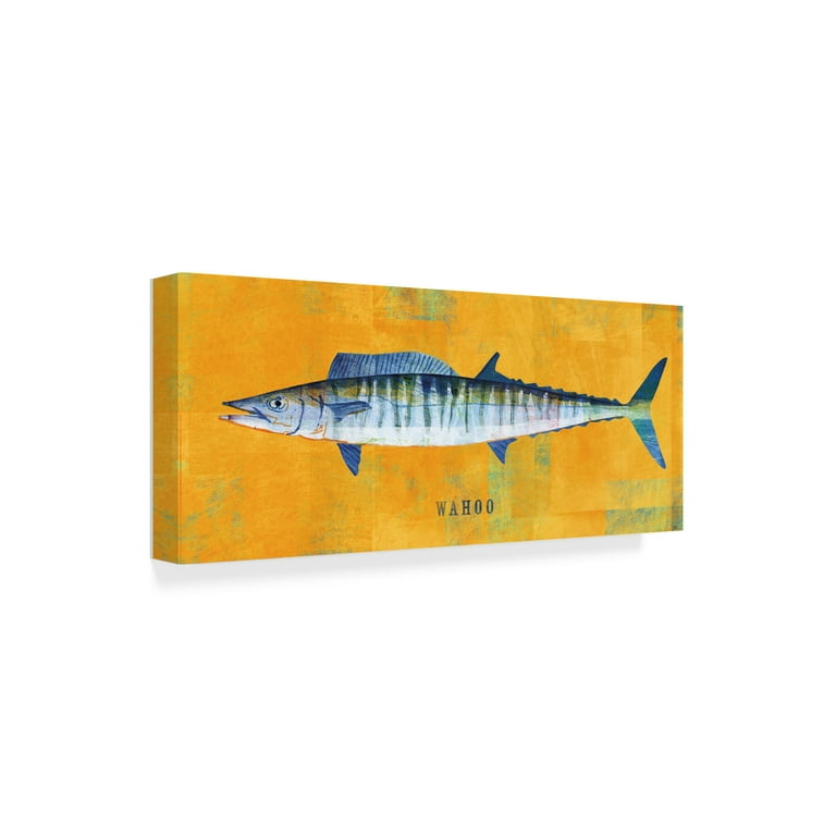 Arte Wahoo Wahoo Tuna Dolphin Art Print By Carey Chen Fine Art