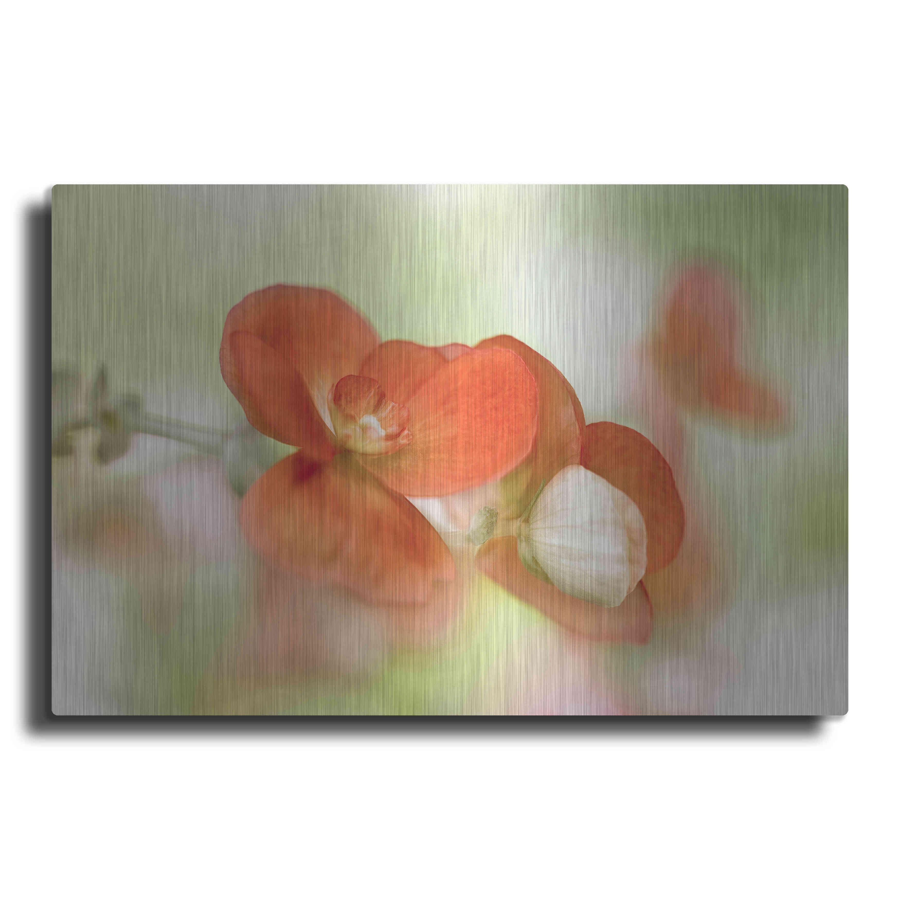 Luxe Metal Art 'Summer Glow' by Mandy Disher, Metal Wall Art, 16"x12 ...