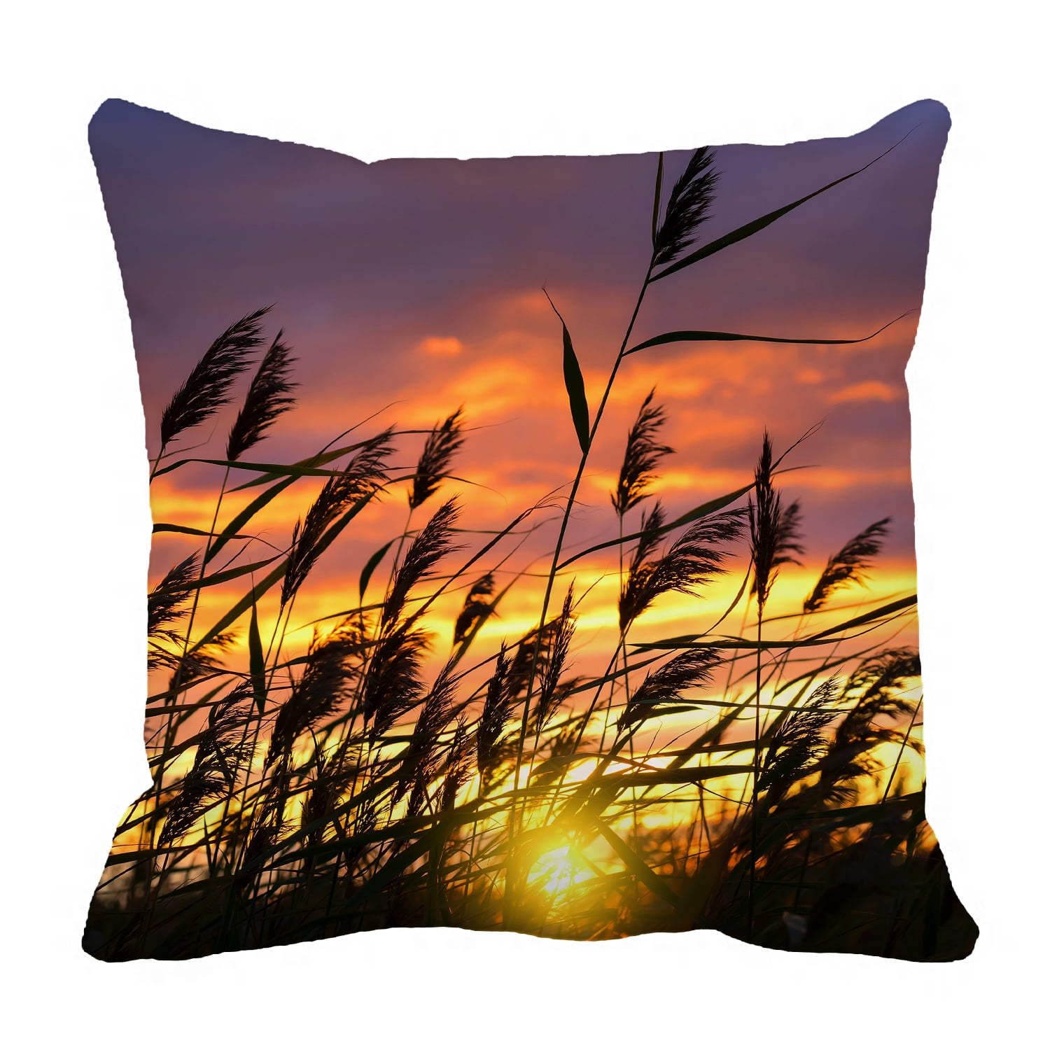 YKCG Reed AgAinst the Background of DrAmAtic Sunset FAll LAndscApe ...