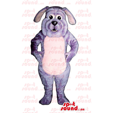 Customised Cute Purple Dog Plush SPOTSOUND Mascot With A Pink Bell ...