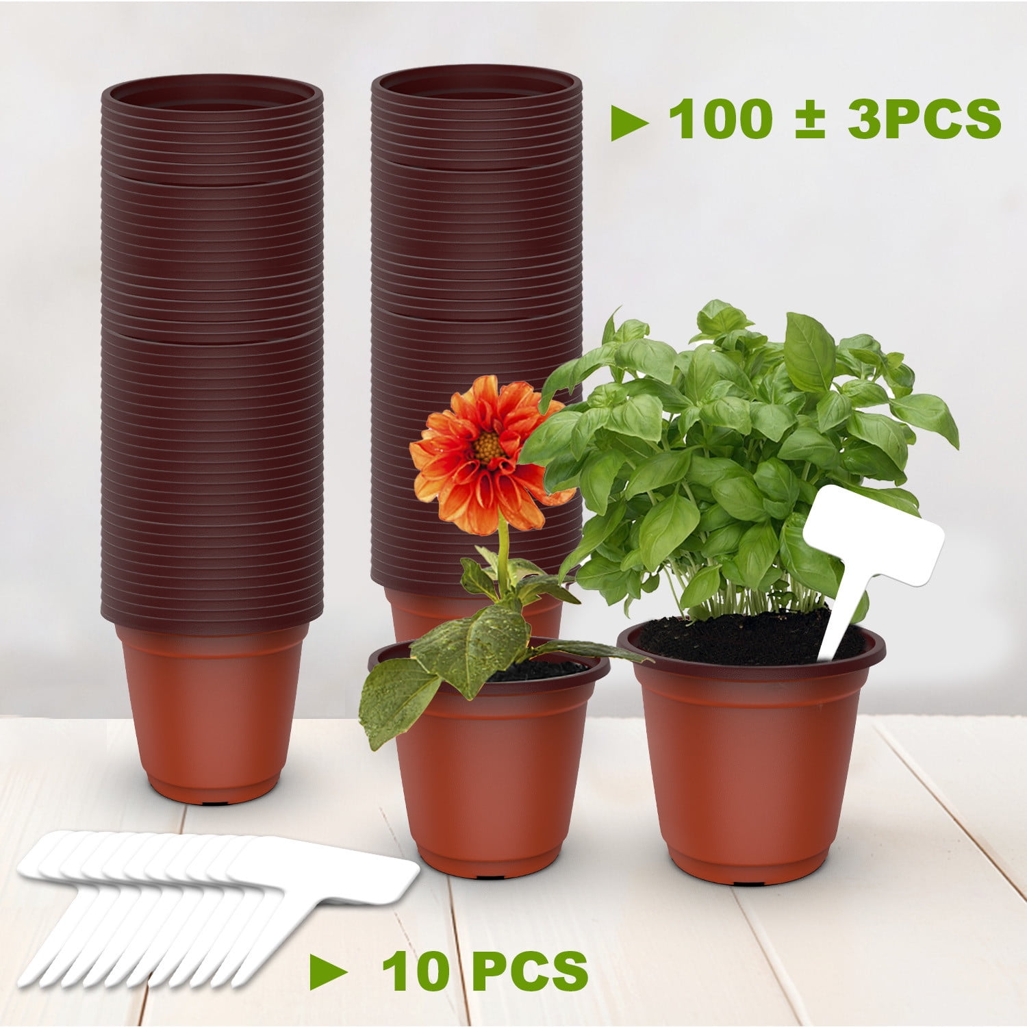 Elegant Choise Plant Pots 3.54inch Plastic Flower Nursery Planters for ...