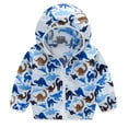 18-24 Months Adult Toddler Boys Girls Sunscreen Jackets Printing ...