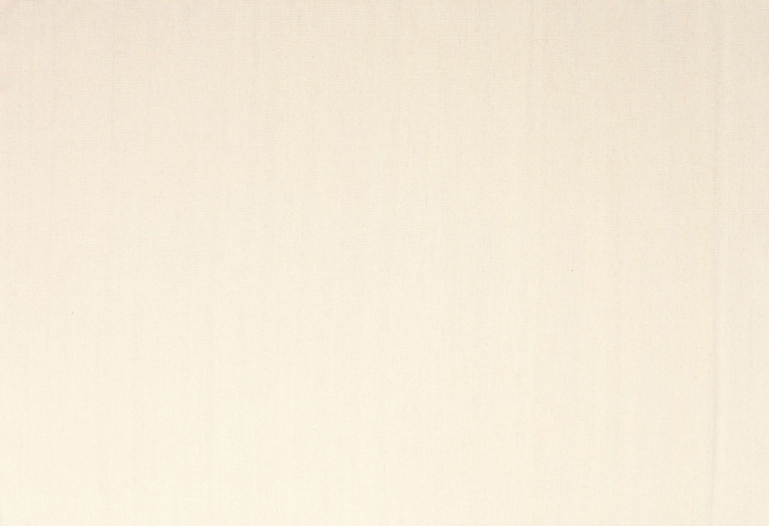 Ahgly Company Indoor Rectangle Contemporary Beige Solid Area Rugs ...