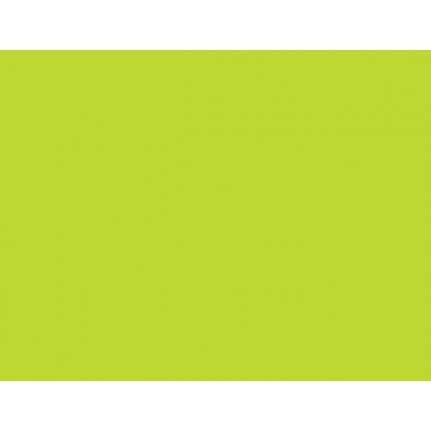 Astrobrights Terra Green 80# Cover 8.5"x11" - 250 sheets Limited Papers ...