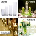 "Efavormart 6 Pack | 14"" Large Base Wide Clear Cylinder Glass Vases ...