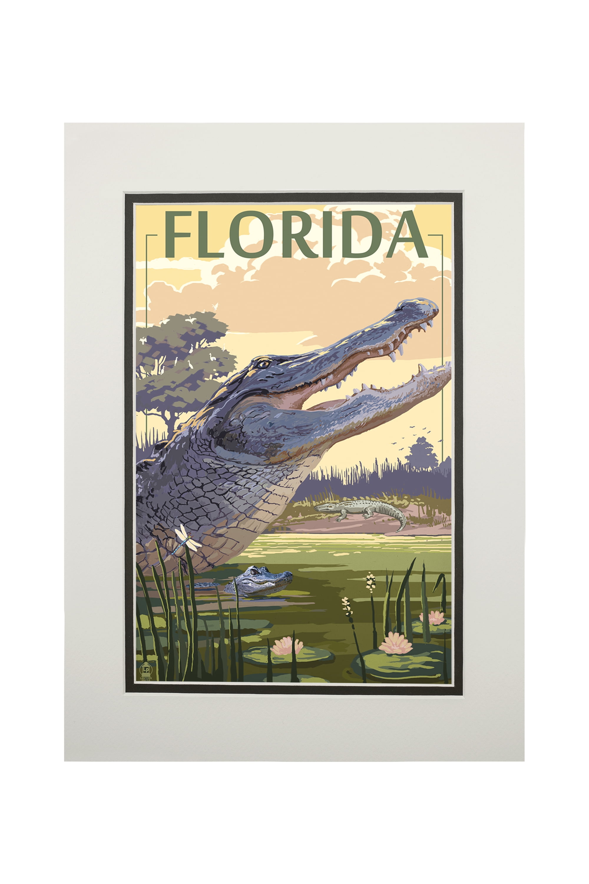 Florida, Alligator Scene - Walmart.com
